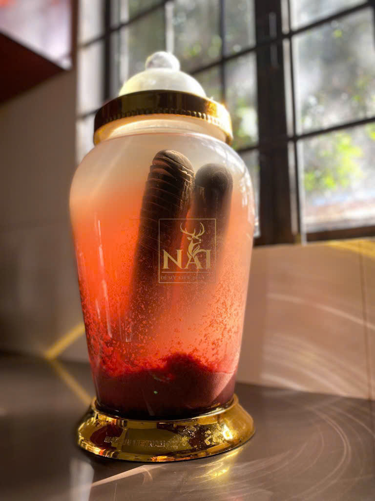 Nhung Nai ngâm rượu